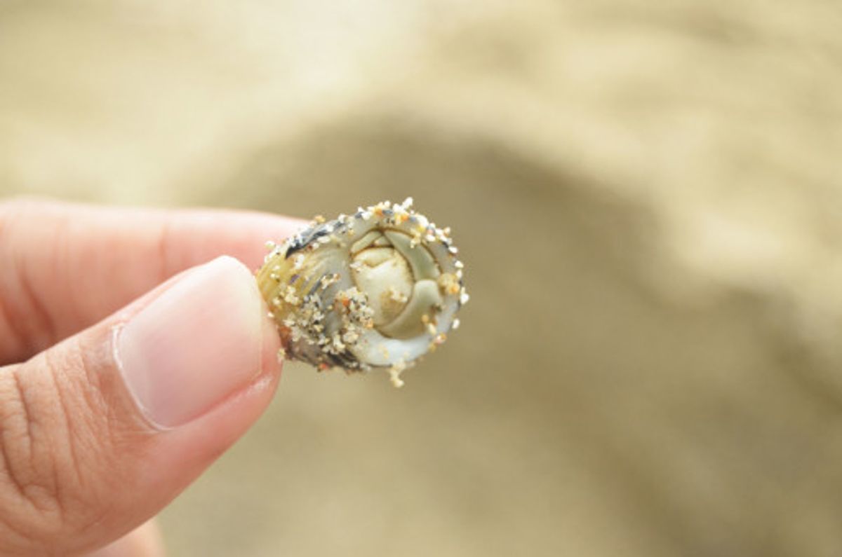 Top 10 Best Silver Rings to Buy in 2024: Styles for Every Occasion ...